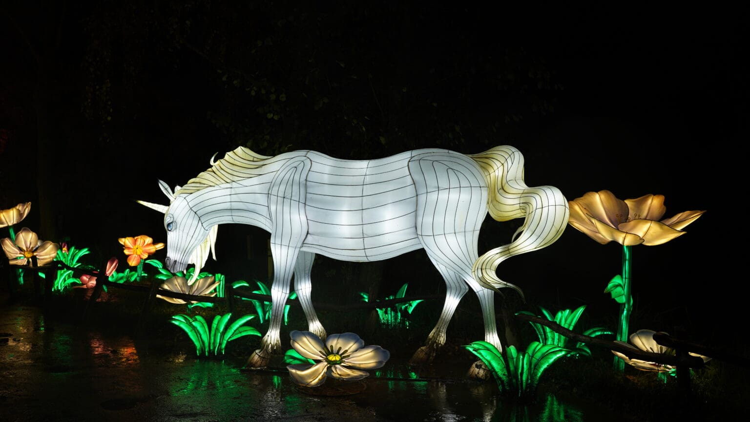 First-ever Tianyu Lights Festival comes to Phoenix - The Best of the ...